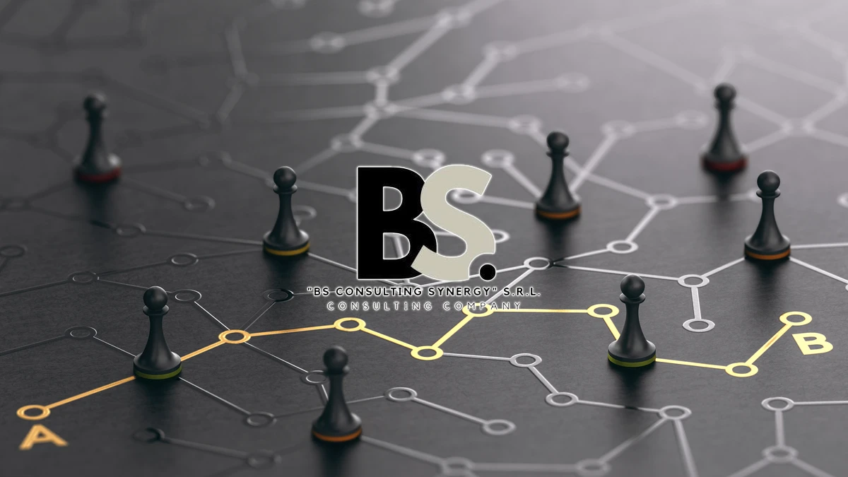 Архив Портфолио — BS Consulting Synergy | Бизнес-Консалтинг в Молдове